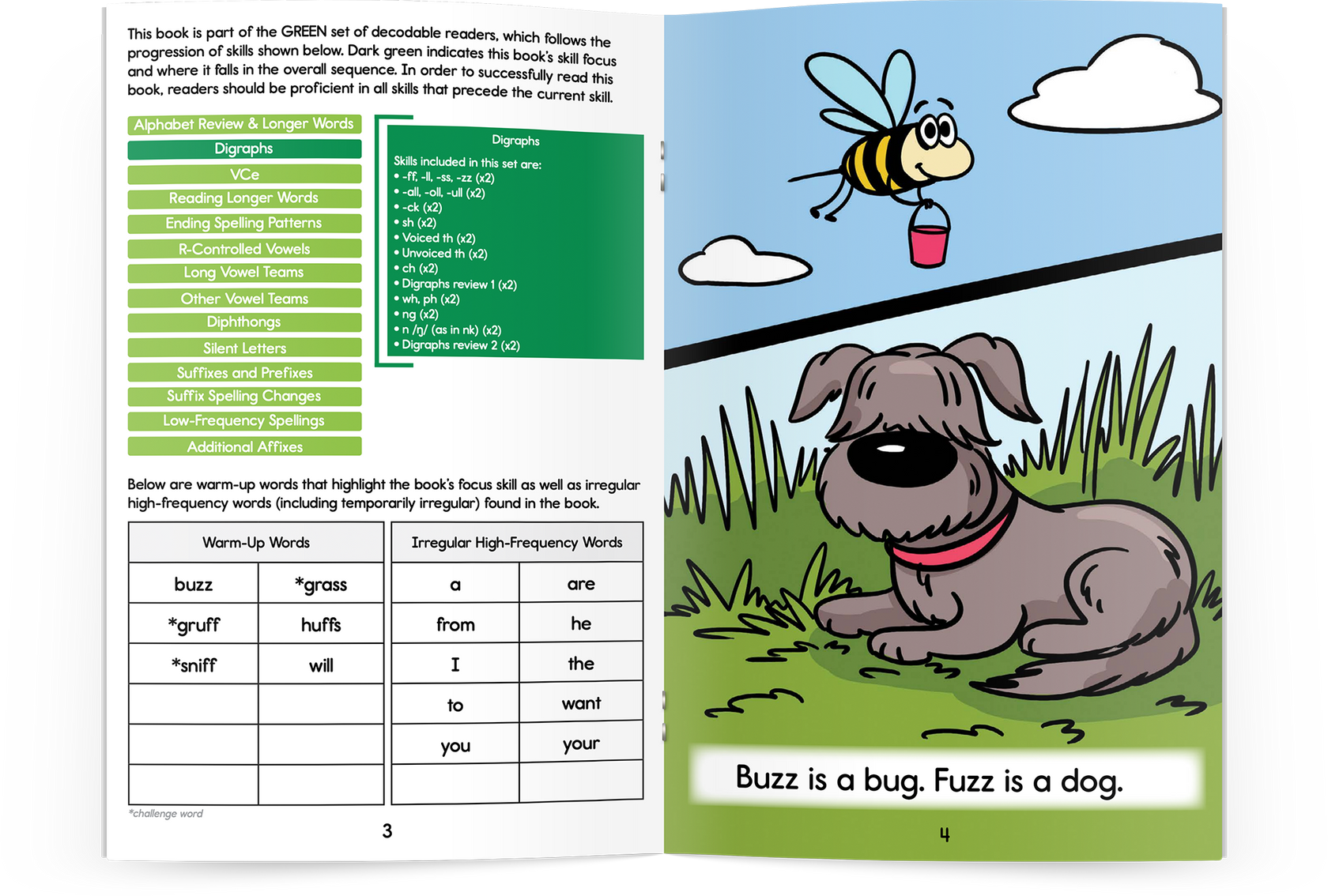 Developing Decoders Complete Collection (1320 Books + 12 Anthologies ...